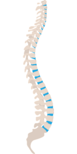How to Take Care of Your Spine - Neurosurgery & Spine Consultants